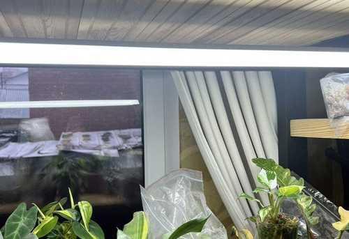 Лампа 50 ватт для досветки растений