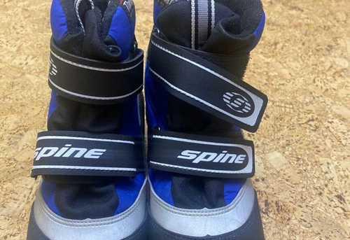 Лыжные ботинки spine