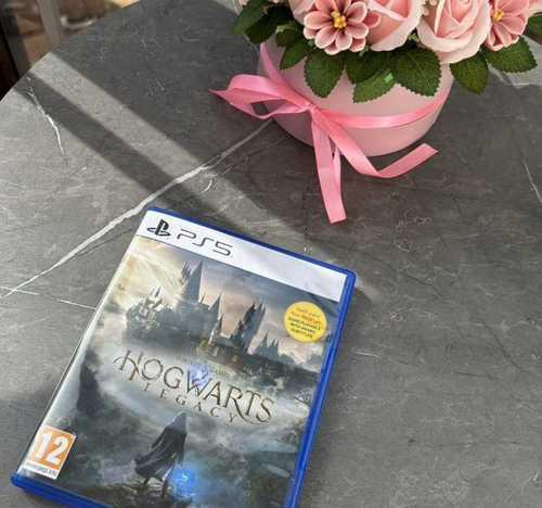 Игра на Sony PS5, hogwarts legacy