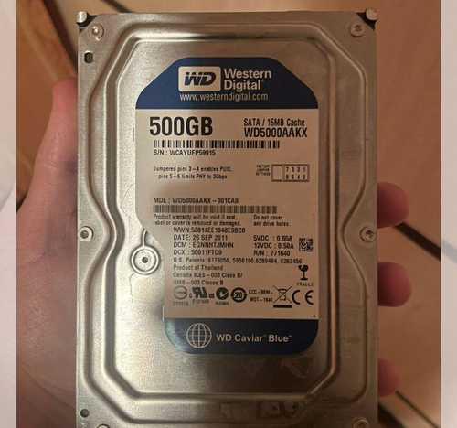 Жесткий диск Western Digital 500GB