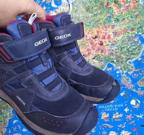 Ботинки geox 34