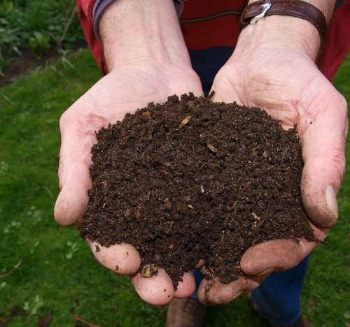 Перегной доставка газель, самосвал
