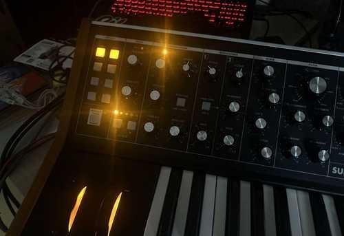 Moog subsequent 25