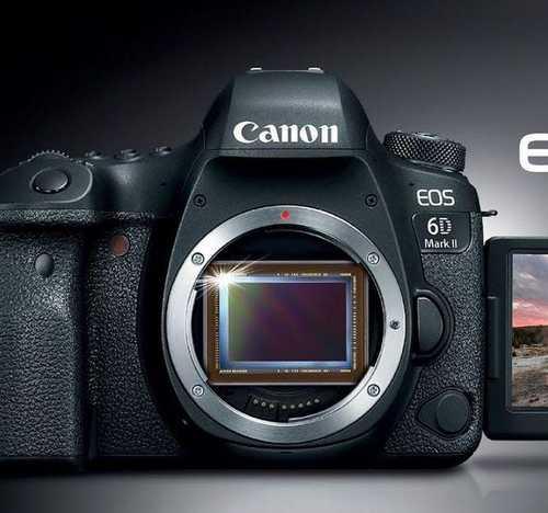 Зеркальный фотоаппарат Canon EOS 6D Mark II Body