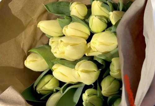 Тюльпаны оптом красивые свежие срез