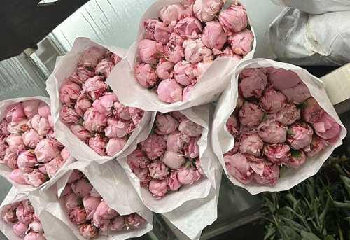 Пионы нежно розовые