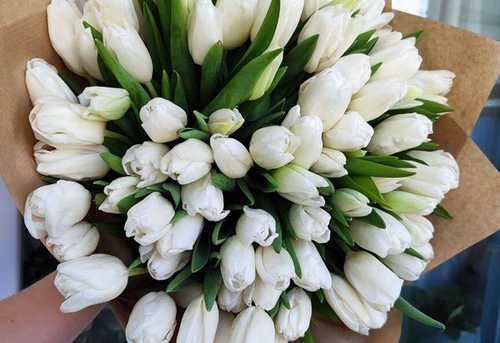 Цветы тюльпаны букет по 25 шт