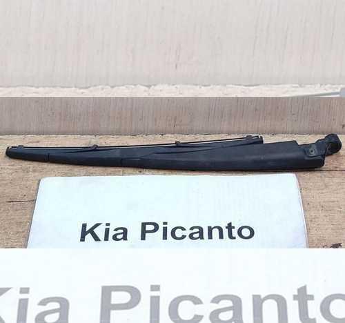 Щёткодержатель задний Kia Picanto 1, 2006г