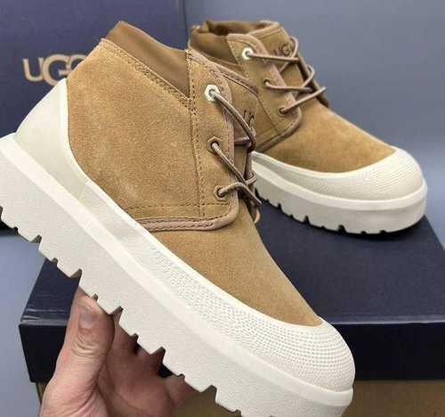 Ugg мужские