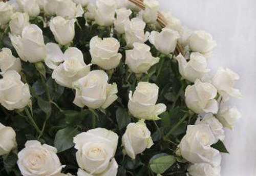 Корзина цветов из 101 белой розы (Эквадор)