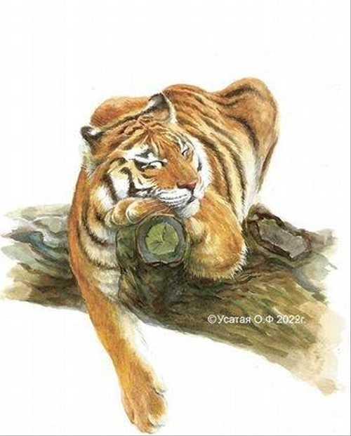 Картина акварель "Тигр"