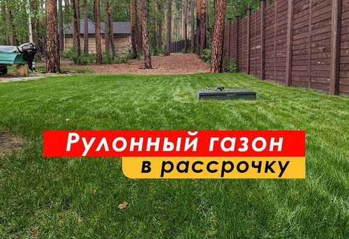 Рулонный газон под ключ