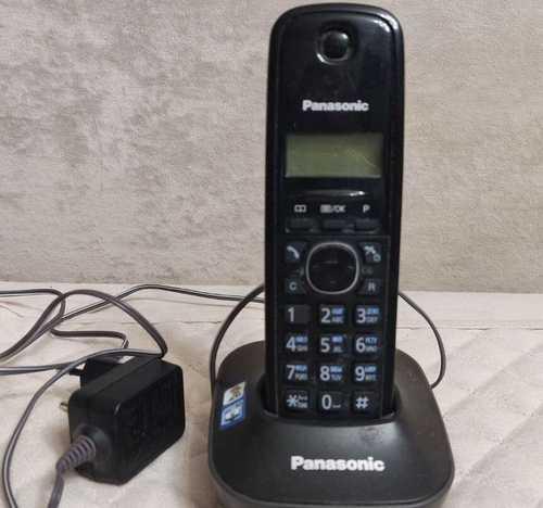 Panasonic