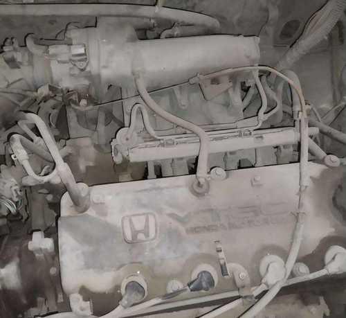 Двигатель honda Accord 5 1.9 f20b