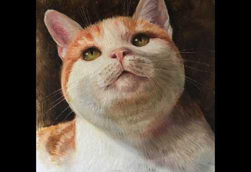Картина маслом на холсте. «Кот»