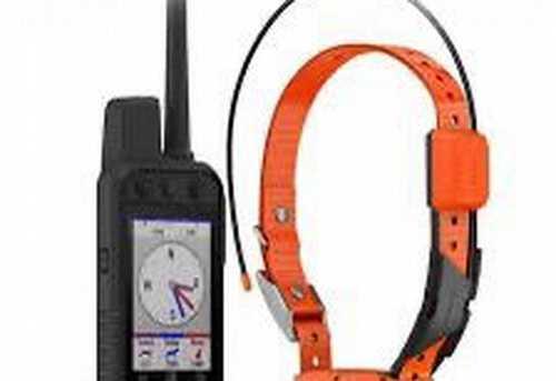 Garmin Alpha 300