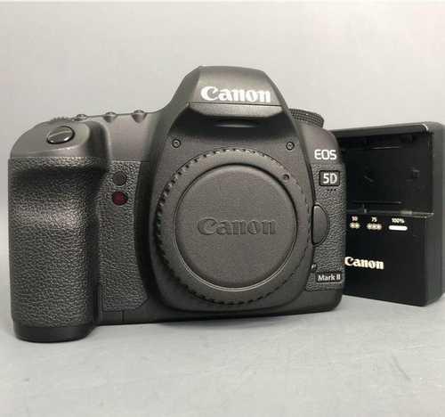 Canon EOS 5D Mark II 133.000 кадров