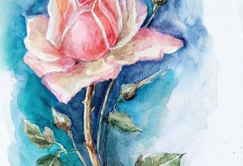 Картина акварелью " Роза"