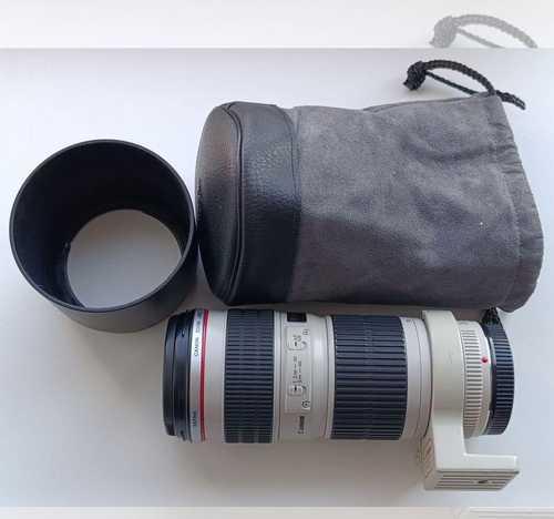 Canon EF 70-200mm f/4L USM телевик Элька