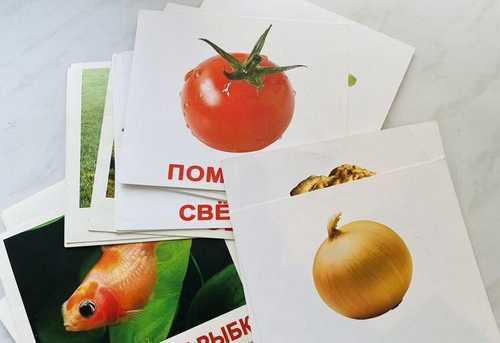 Развивающие карточки домана
