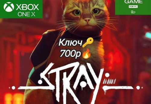 Stray Xbox One/Series ключ