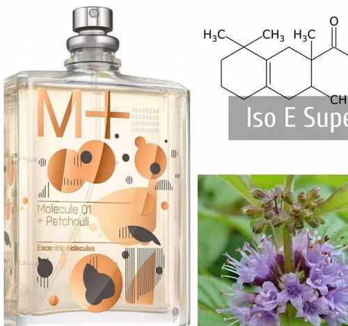 Molecule 01 + Patchouli Escentric Molecules