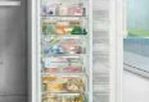Резинка для холодильника Indesit SFR 100