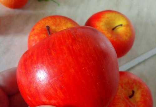Яблоки искусственные для украшения набор из 5 шт