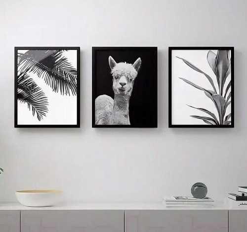 Постеры IKEA bild альпака (40/50)