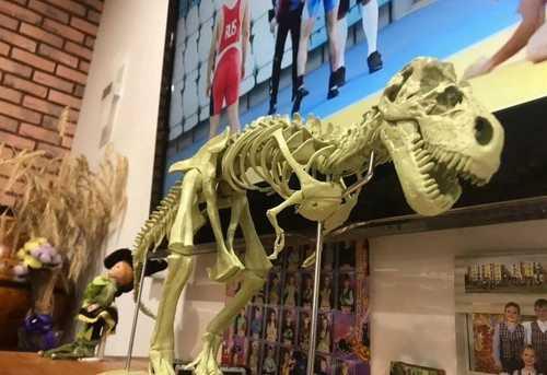 Скелет динозавра модель конструктор 70см