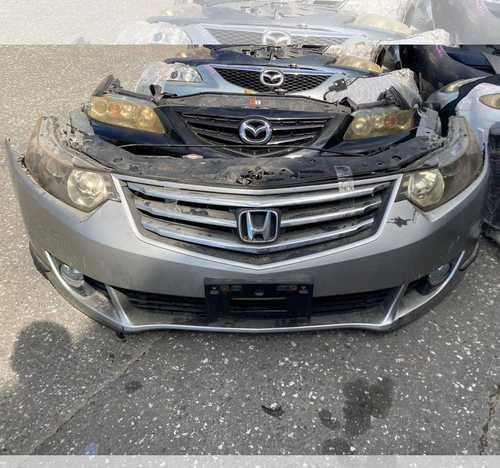 Ноускат Honda Accord 8