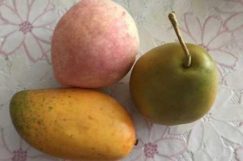 Муляжи фруктов груша, персик, манго