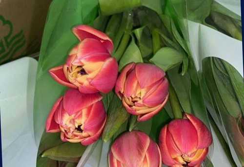 Прекрасные тюльпаны для прекрасных дам
