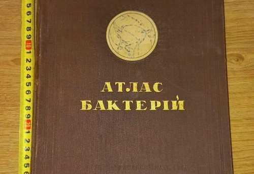 Редкая книга: Атлас бактерий, 1940 год