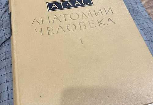 Атлас по анатомии синельников
