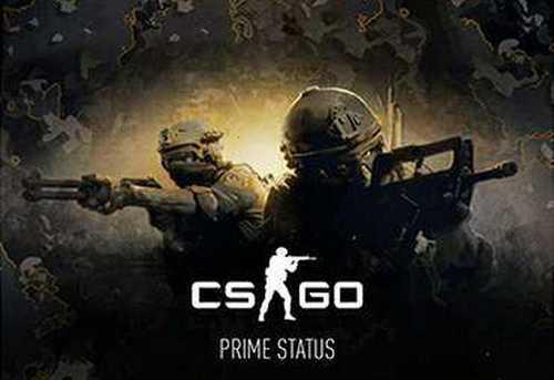 Прайм статус в CS GO и кошелек стим