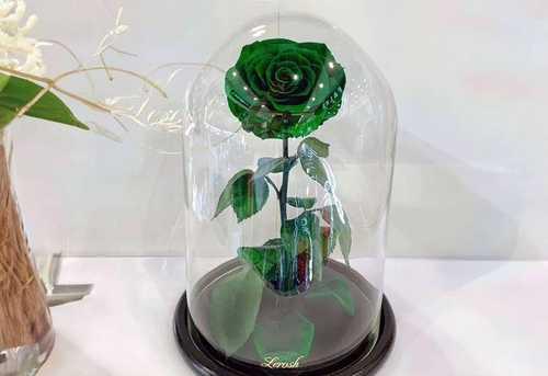 Роза в колбе Deluxe Темно-зеленая