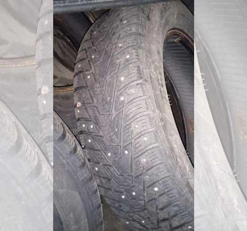 Winter Tact Nord Frost 3 175/70 R14