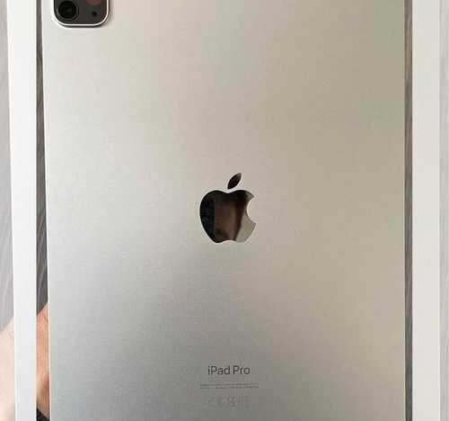 iPad 11 pro (4gen)