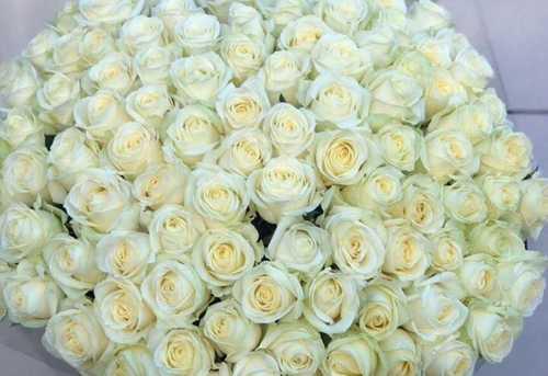 Белые розы букеты / доставка цветов
