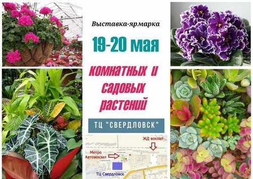 Выставка-ярмарка растений 19-20 мая Екб