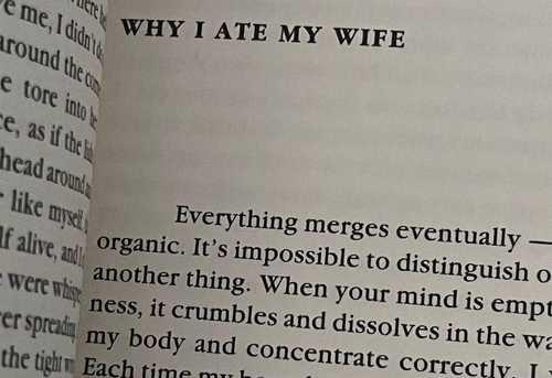 Книга The Consumer, Michael Gira(swans/ Потребител