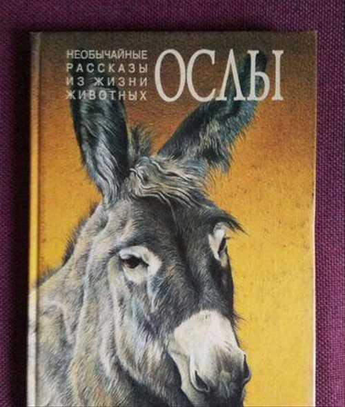 Ослы. Лошади