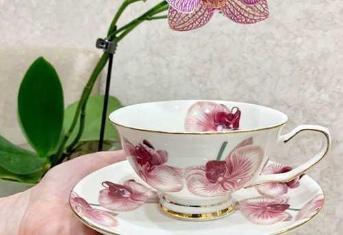 Чайная пара "Орхидея", фарфор 180мл