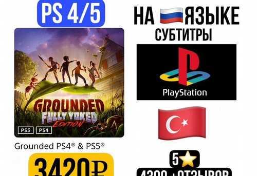 Grounded PS4 & PS5