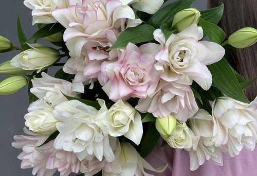 Лилии Пионовидные Импорт букеты цветы доставка