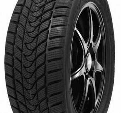 Delinte Winter WD1 195/55 R15 85H