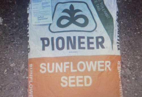 Семена подсолнечника Пионер