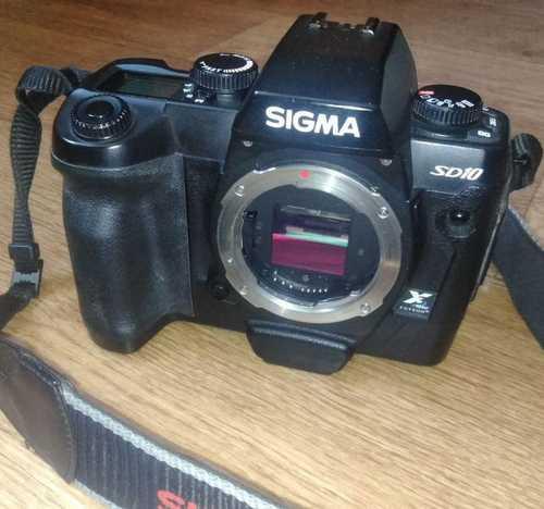 Sigma SD10 body