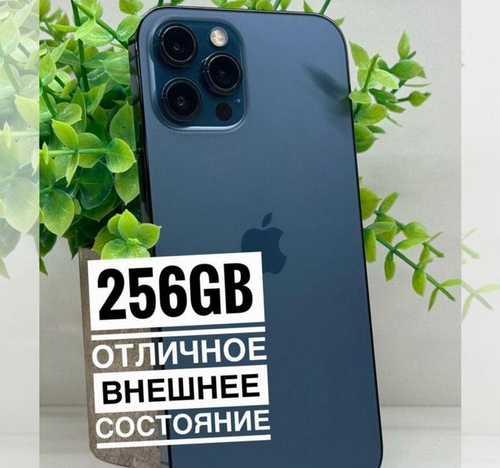 iPhone 12 Pro Max, 256 ГБ